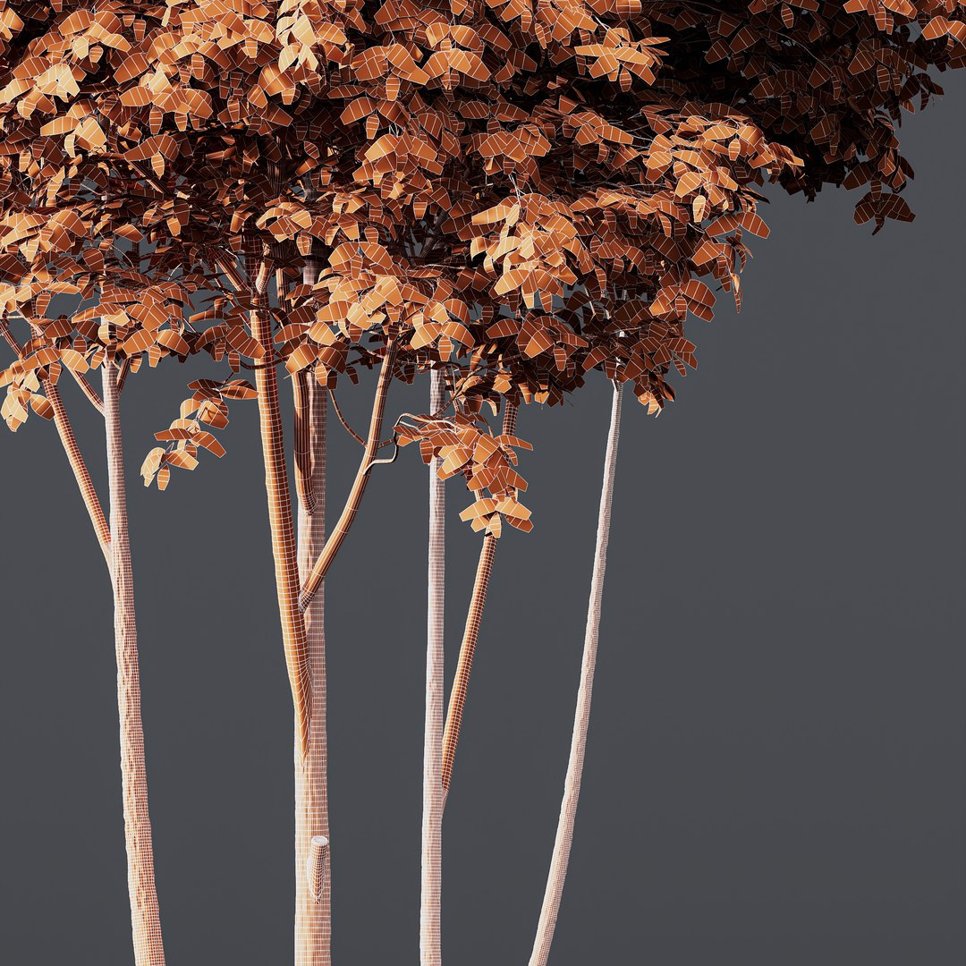 6 Different SETS of Tree SET VOL09 3D - TurboSquid 2132481