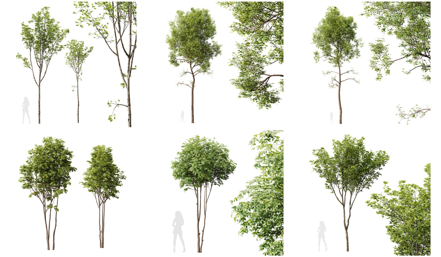 6 Different SETS of Tree SET VOL09 3D - TurboSquid 2132481