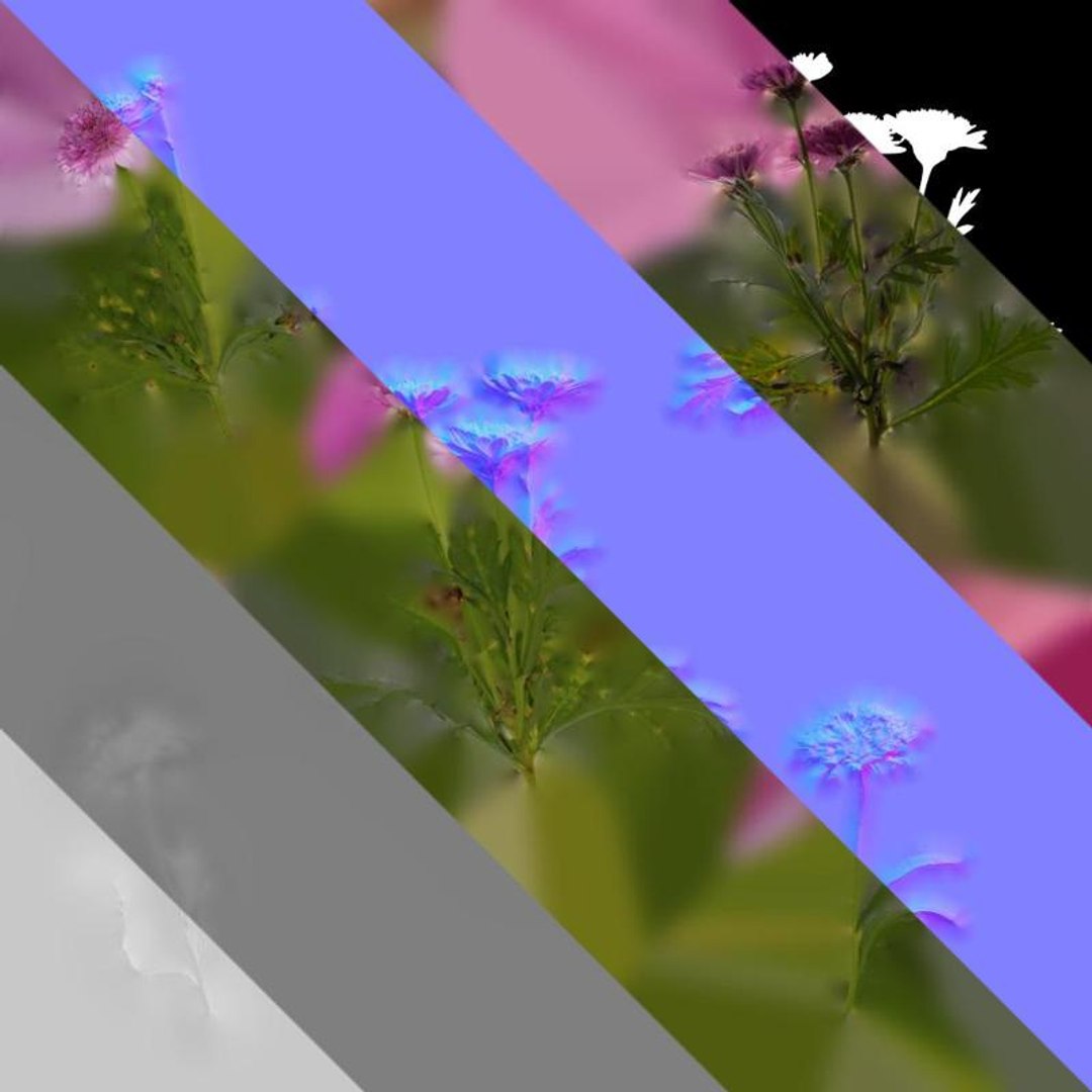 Anydrafts Argyranthemum Frutescens Atlas 17 Textures 3D - TurboSquid ...