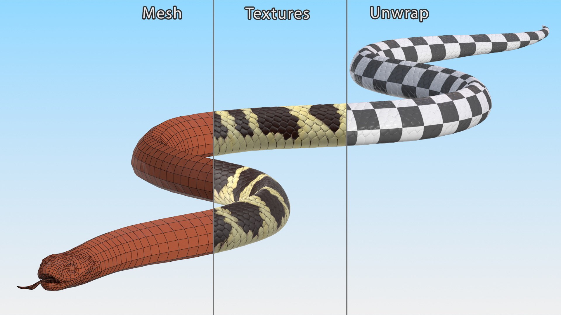 3D California Kingsnake - TurboSquid 1943749