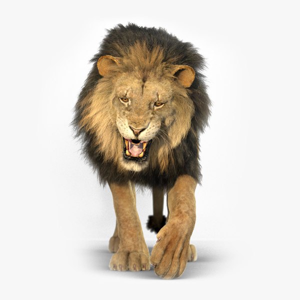 Lion 3D Models for Download | TurboSquid