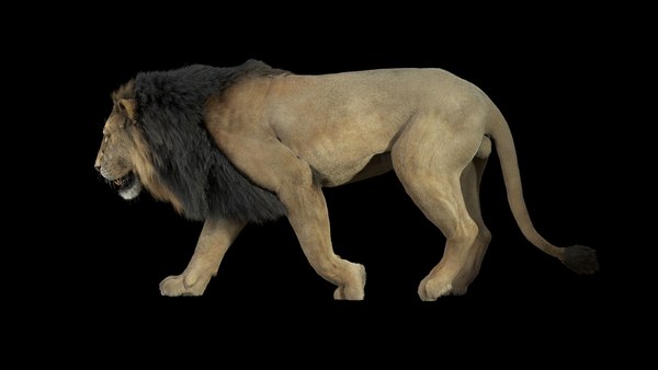 modelo 3d León ANIMADO RedShift 2 - TurboSquid 1492834