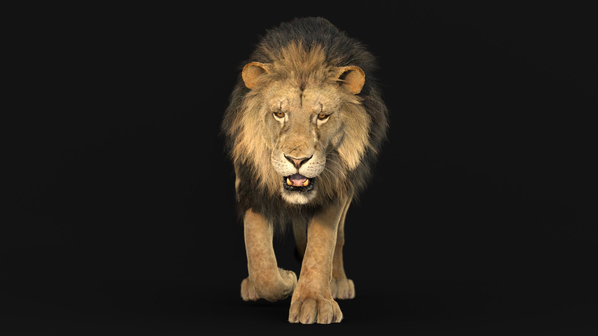 3D Lion Redshift Animation - TurboSquid 1492834