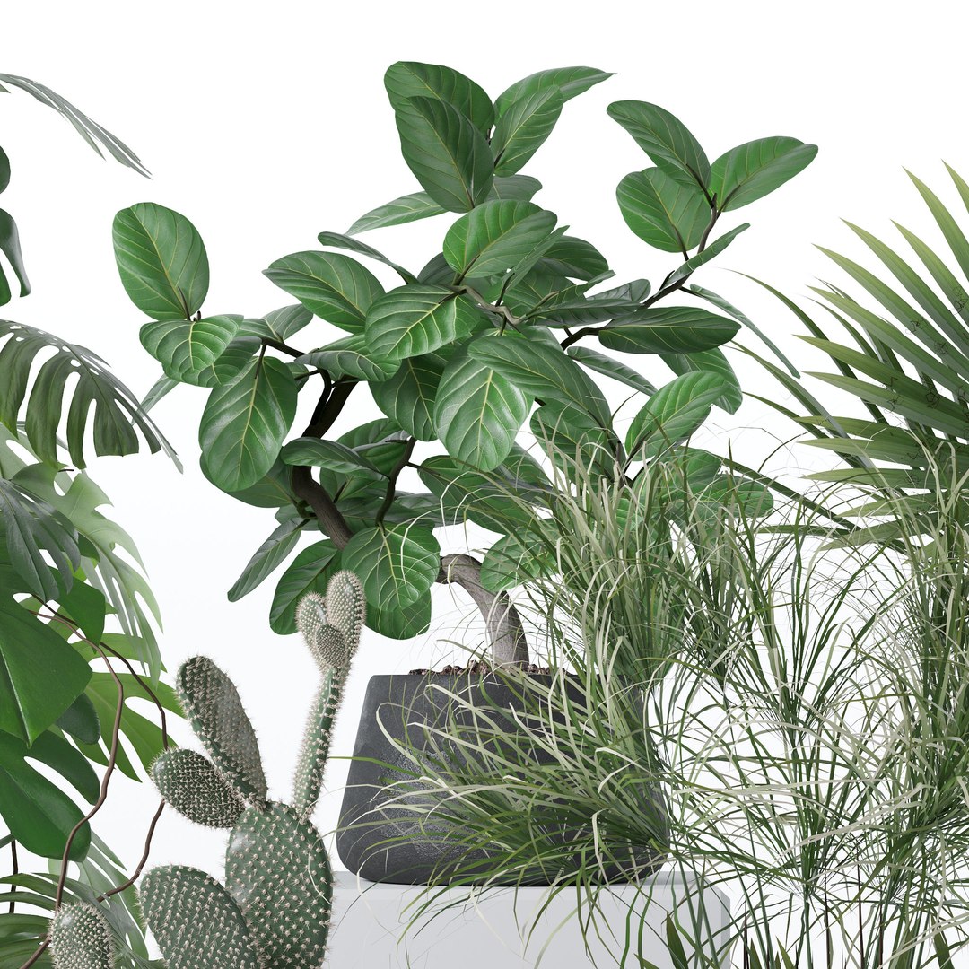 3D Model Plants Collection 131 - TurboSquid 1959422