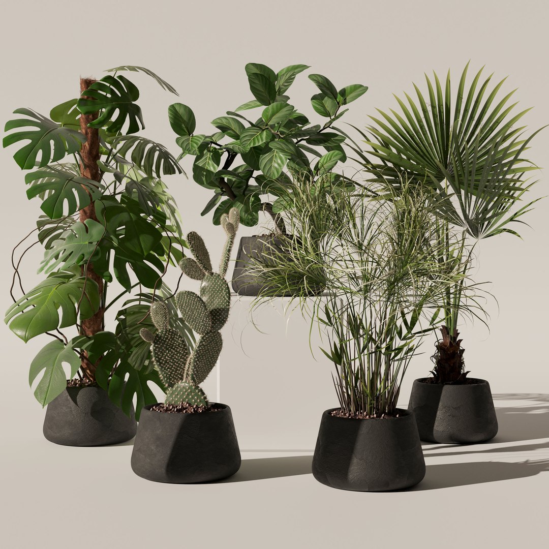 3D Model Plants Collection 131 - TurboSquid 1959422