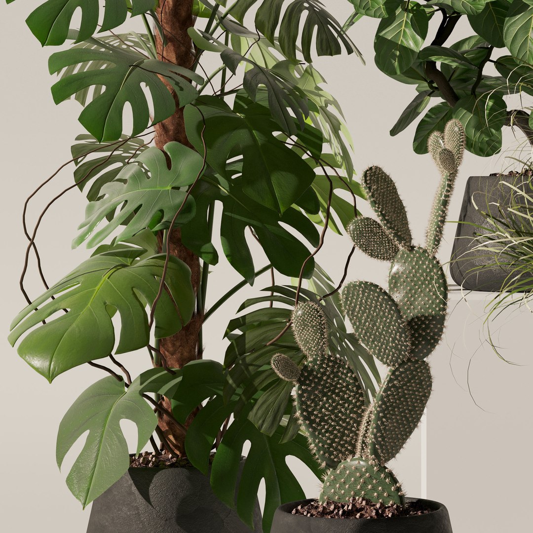 3D Model Plants Collection 131 - TurboSquid 1959422