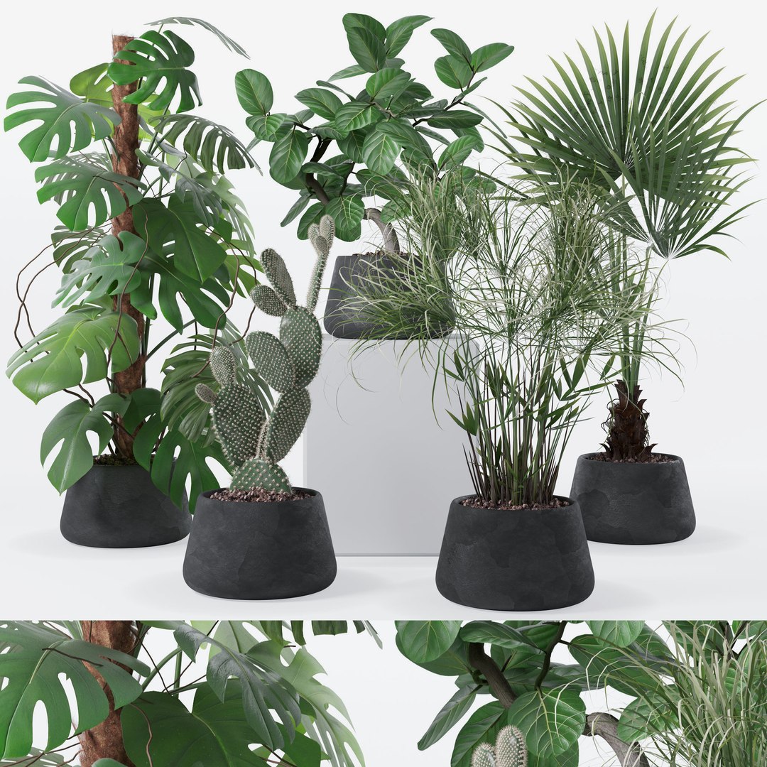 3D Model Plants Collection 131 - TurboSquid 1959422
