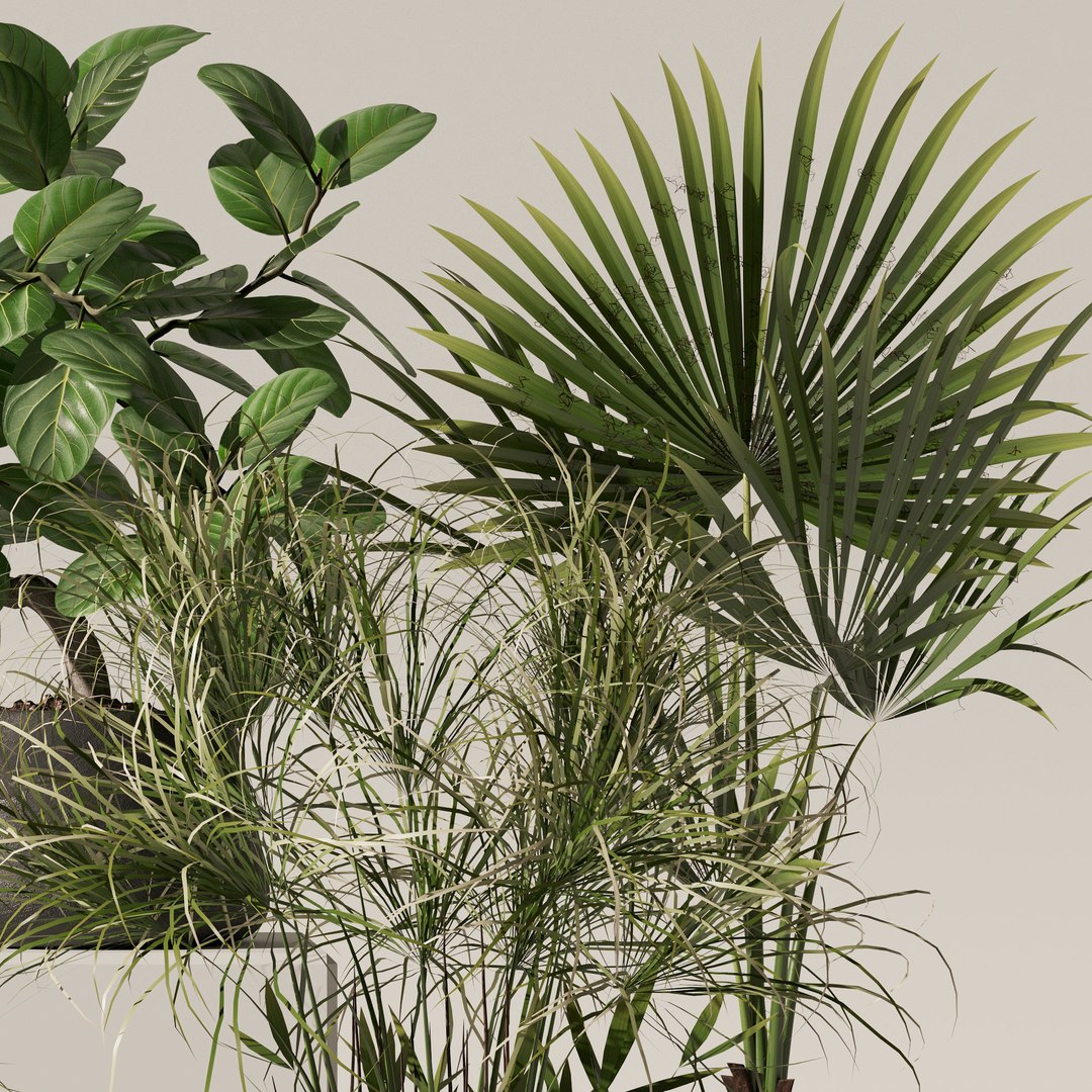 3D Model Plants Collection 131 - TurboSquid 1959422