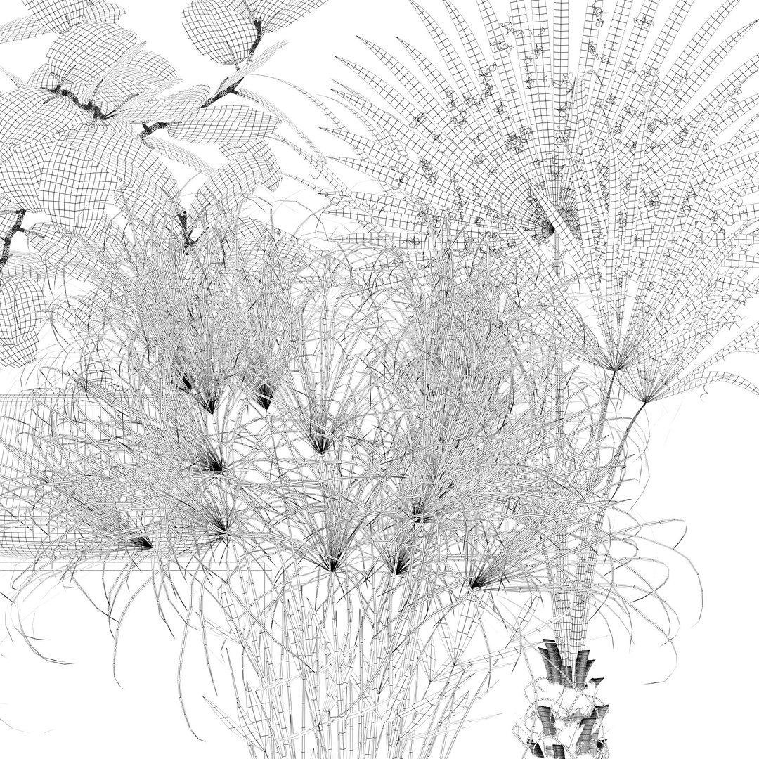 3D Model Plants Collection 131 - TurboSquid 1959422