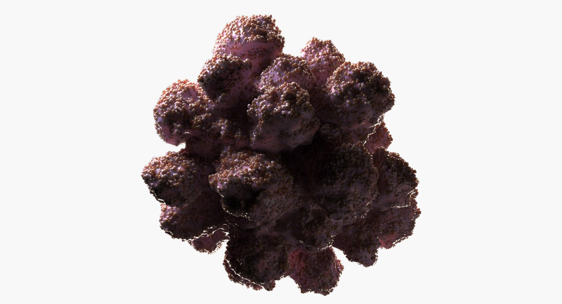 Science Anatomy Virus 3d Model Turbosquid 1330558