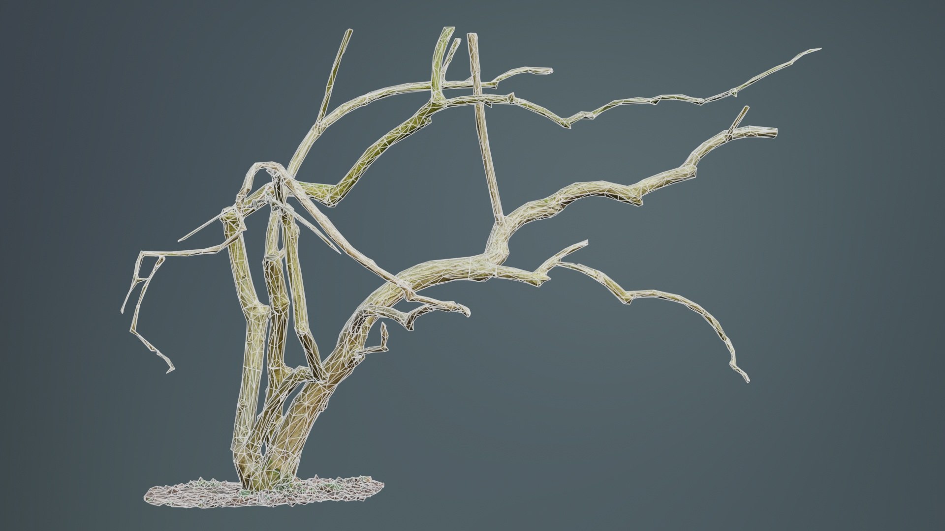 Cherry Tree Trunk Remastered 3D Model - TurboSquid 2363157