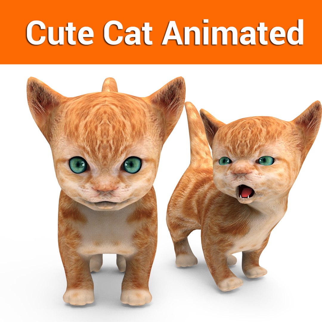 Cute Cat Animation 3D Model - TurboSquid 1217230