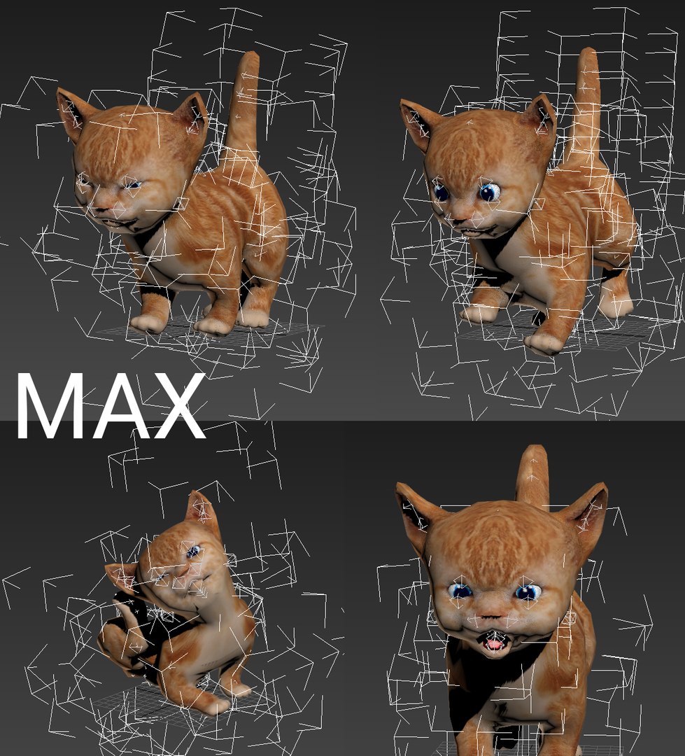 Cute Cat Animation 3D Model - TurboSquid 1217230