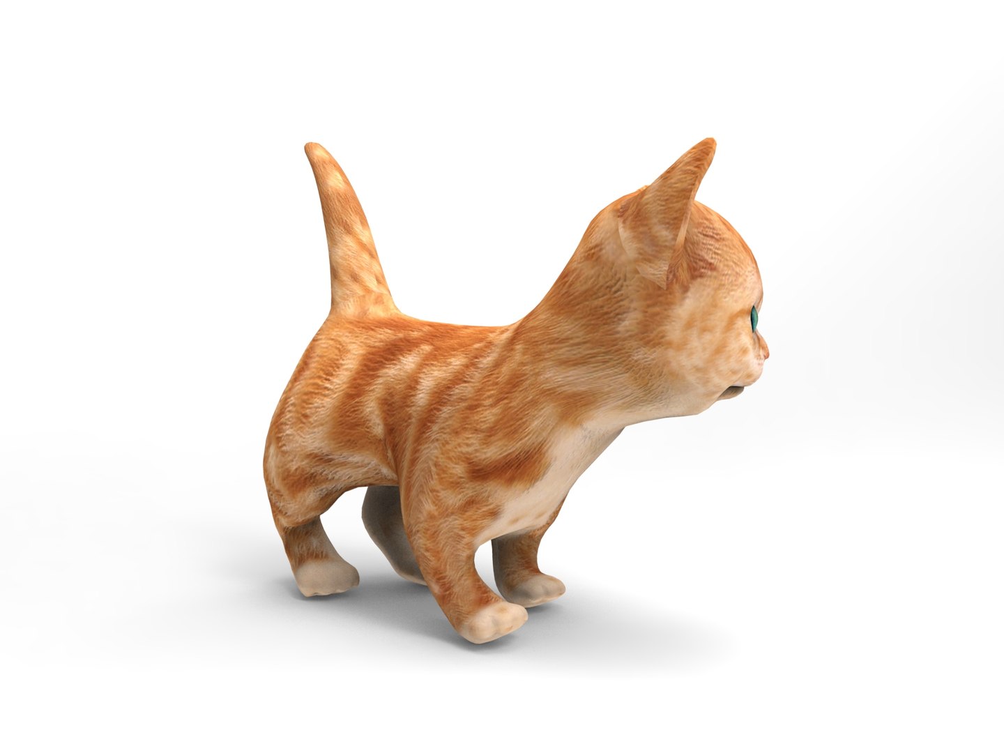 Cute Cat Animation 3D Model - TurboSquid 1217230