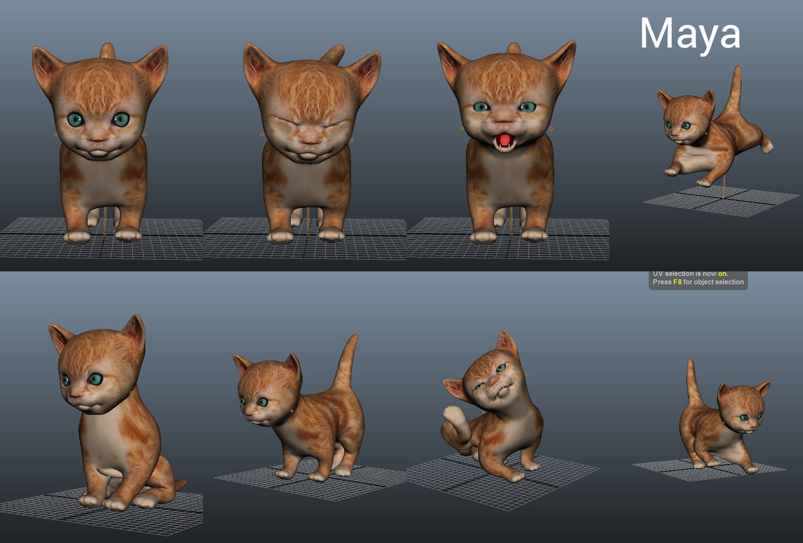 Cute Cat Animation 3D Model - TurboSquid 1217230