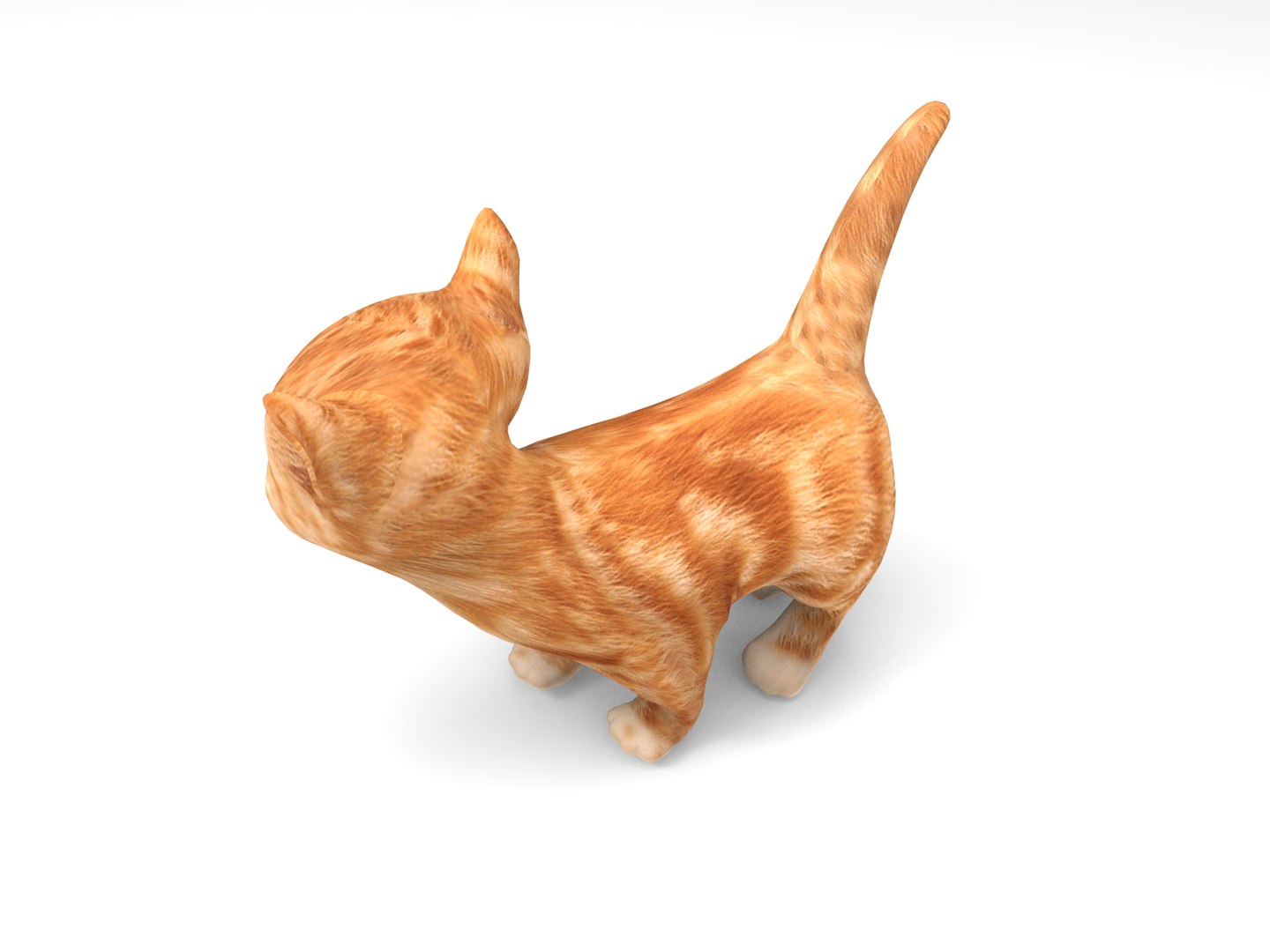 Cute Cat Animation 3D Model - TurboSquid 1217230