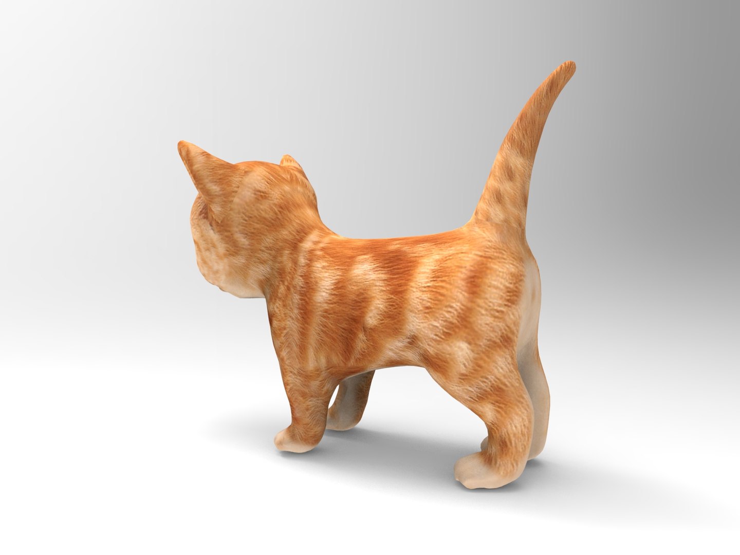 Cute Cat Animation 3D Model - TurboSquid 1217230