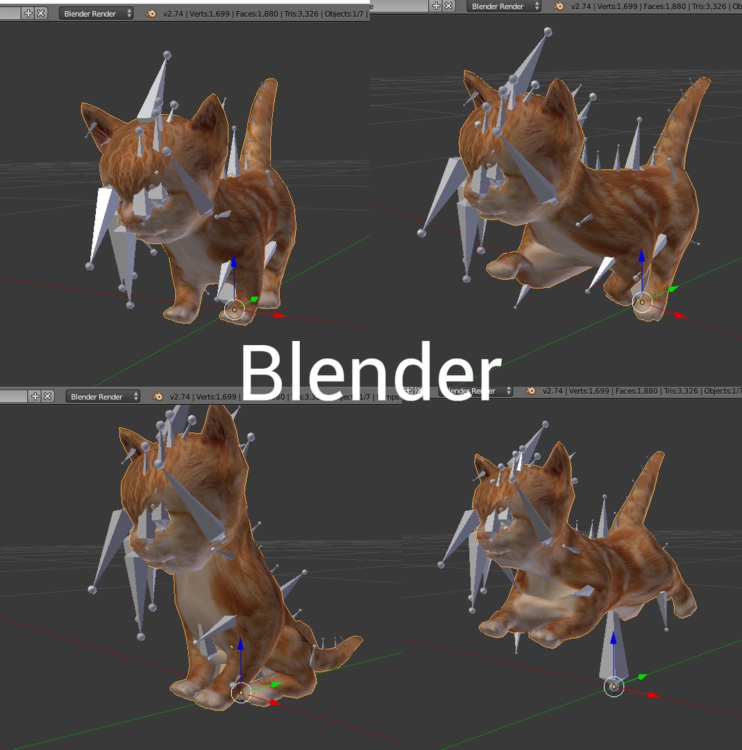 Cute Cat Animation 3D Model - TurboSquid 1217230