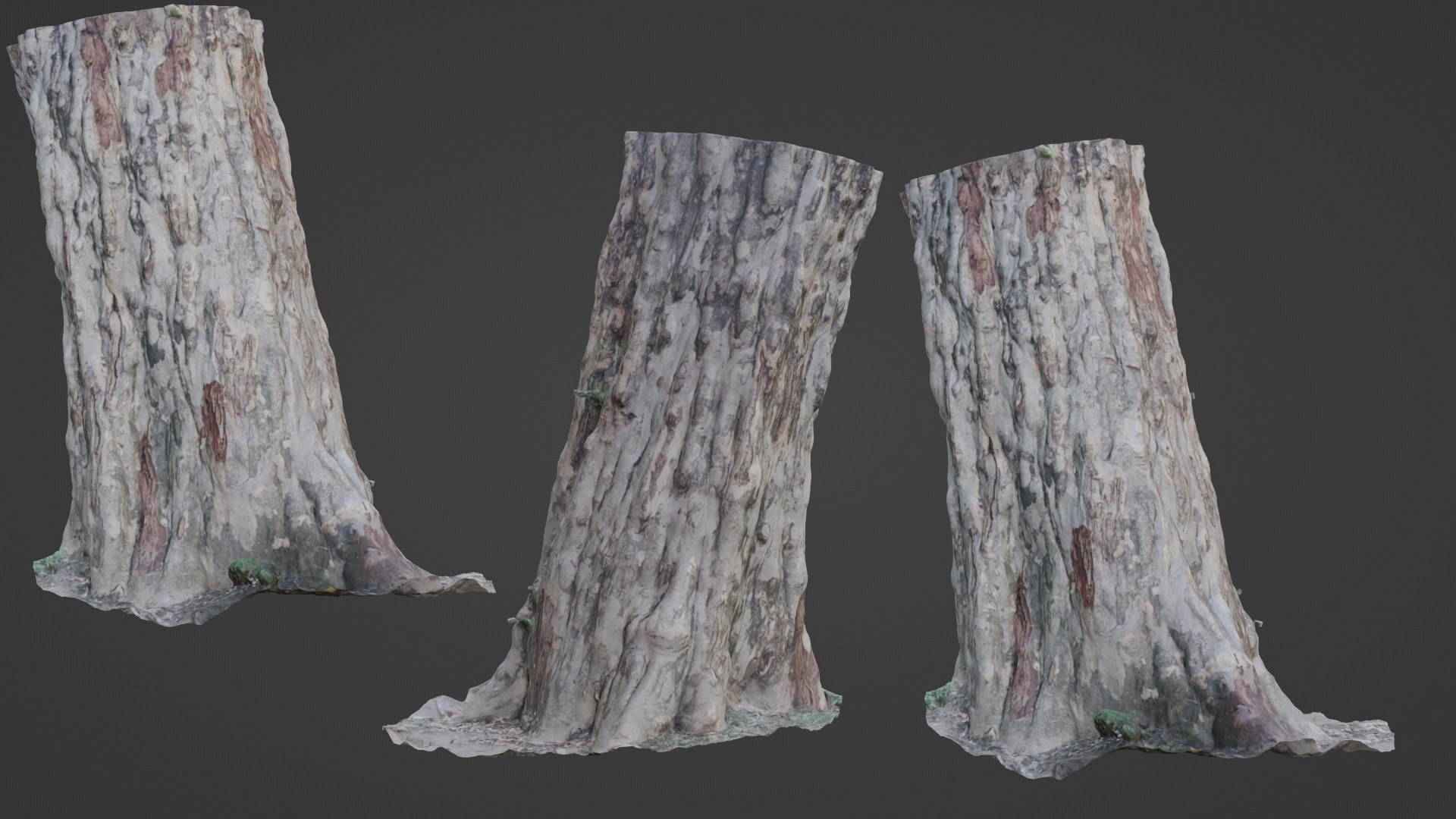3D Forest Tree Scan - TurboSquid 2329668