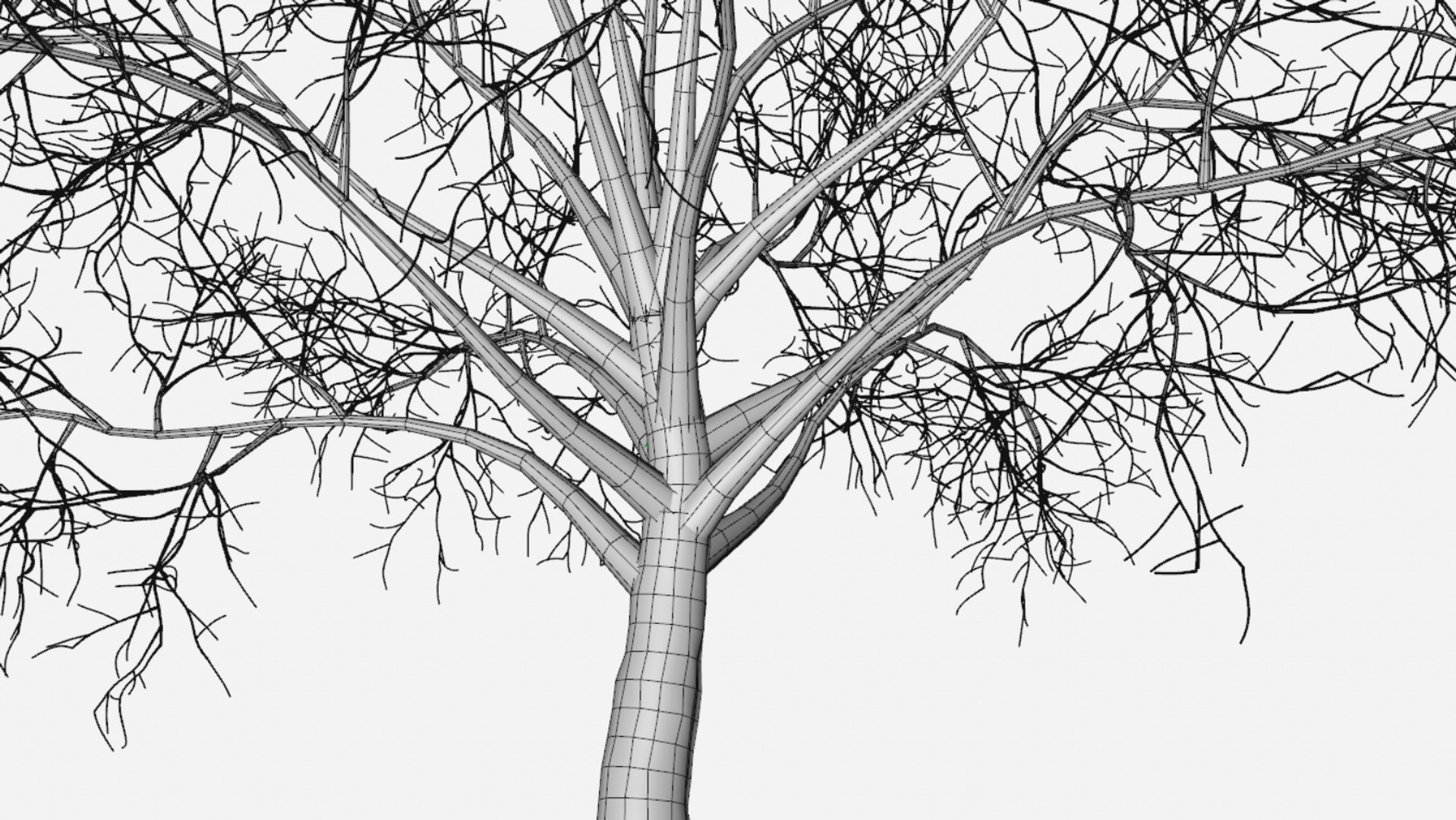 3D Sakura Tree - TurboSquid 1676620