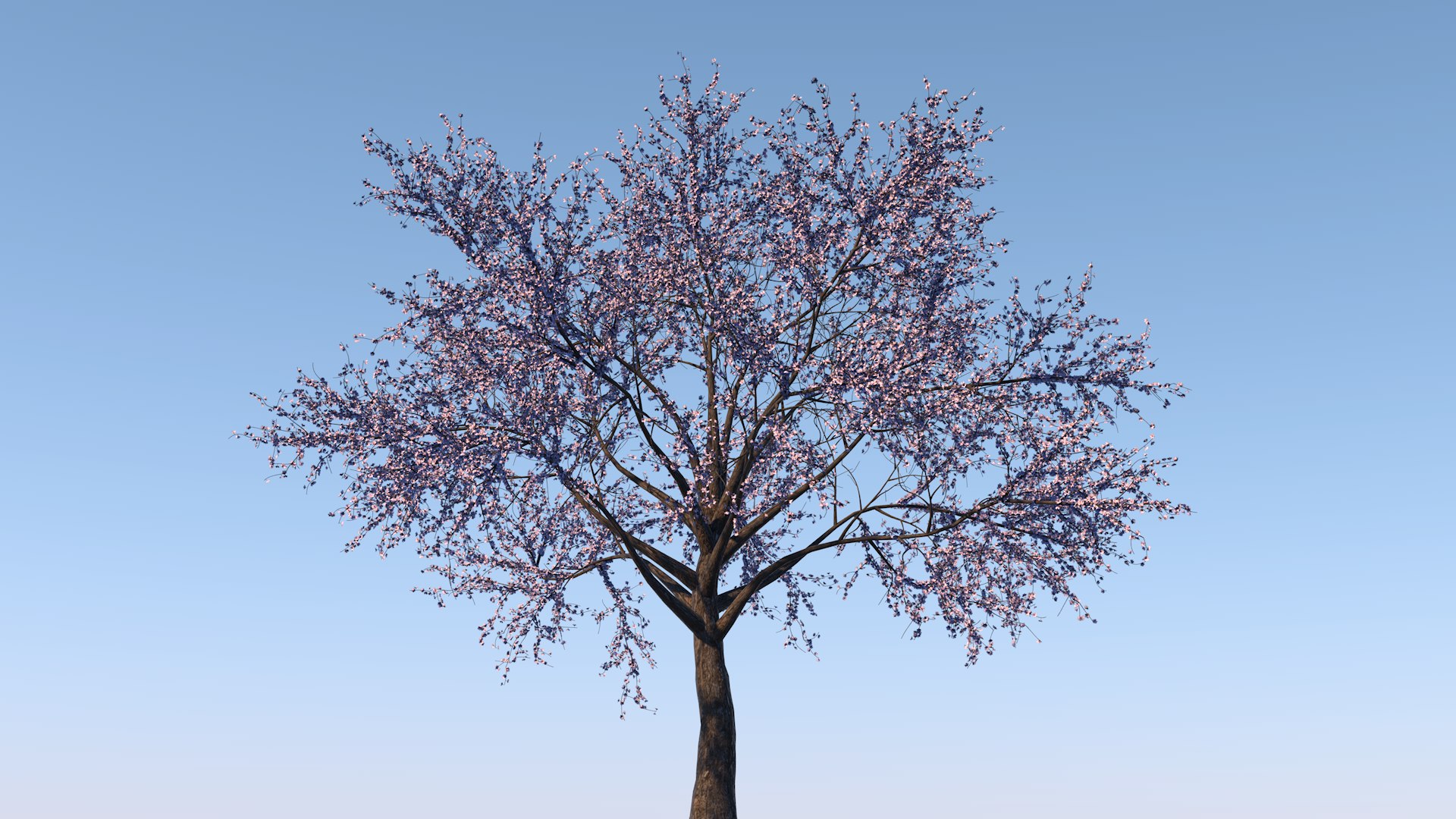 3D Sakura Tree - TurboSquid 1676620