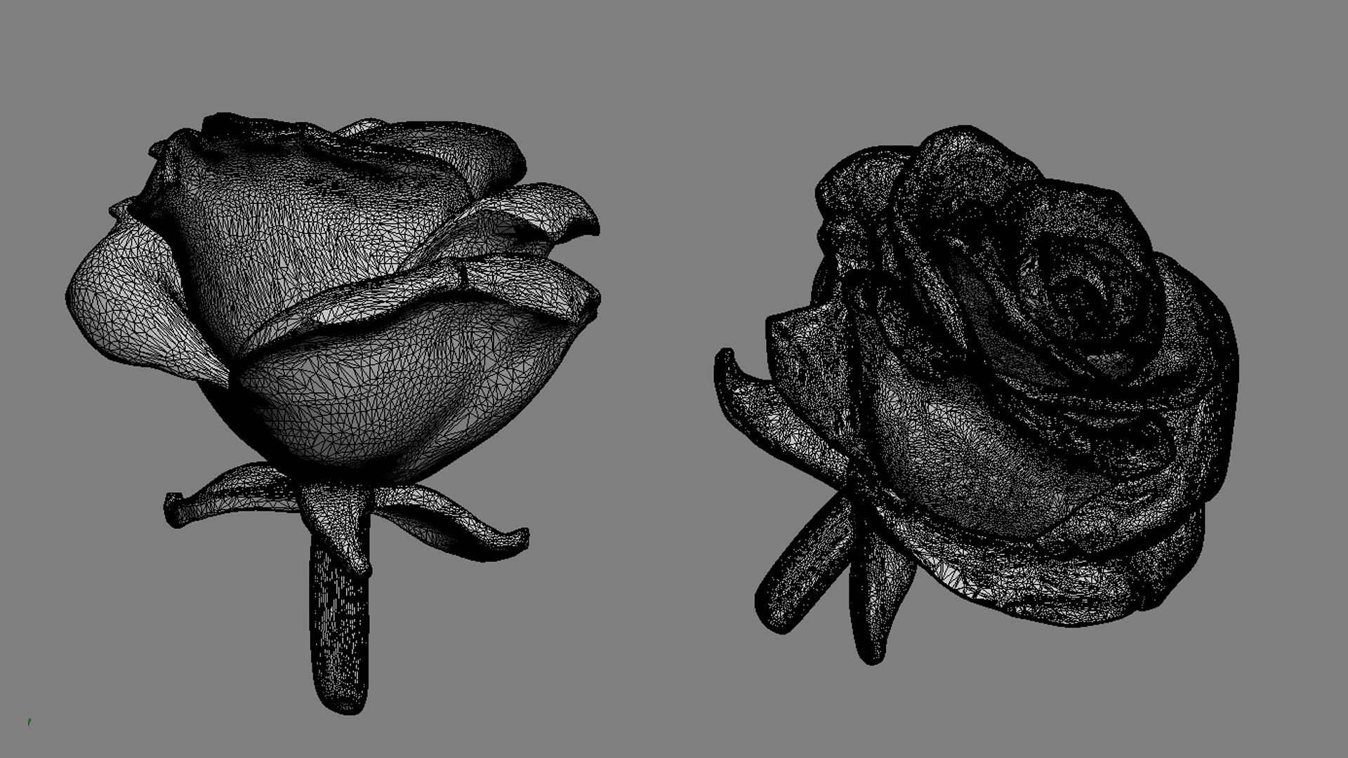 Rose Flower 3d Print Model - TurboSquid 1828235