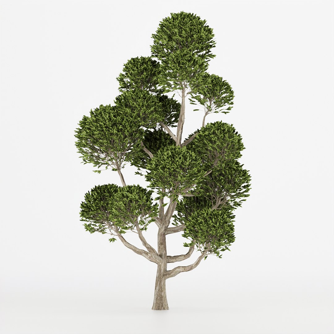 3D Model Collection Tree Vol 1 - TurboSquid 1946173