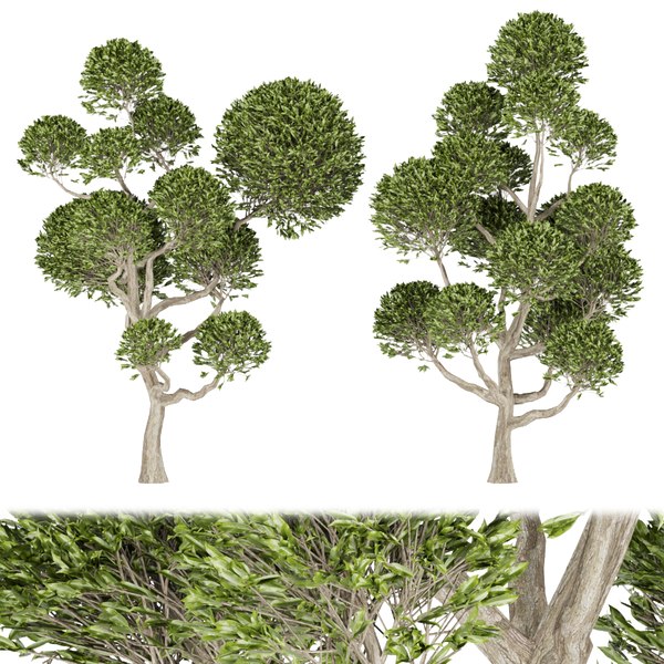 3D model collection tree vol 1 - TurboSquid 1946173