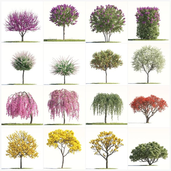 Flowering Tree 3D Models for Download | TurboSquid