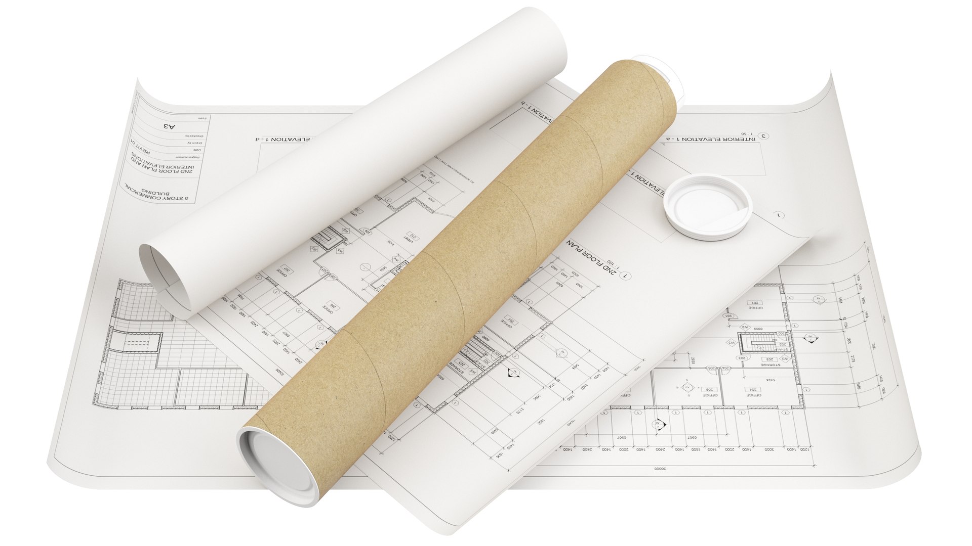 Blueprints With Cardboard Tube 3D - TurboSquid 2041429