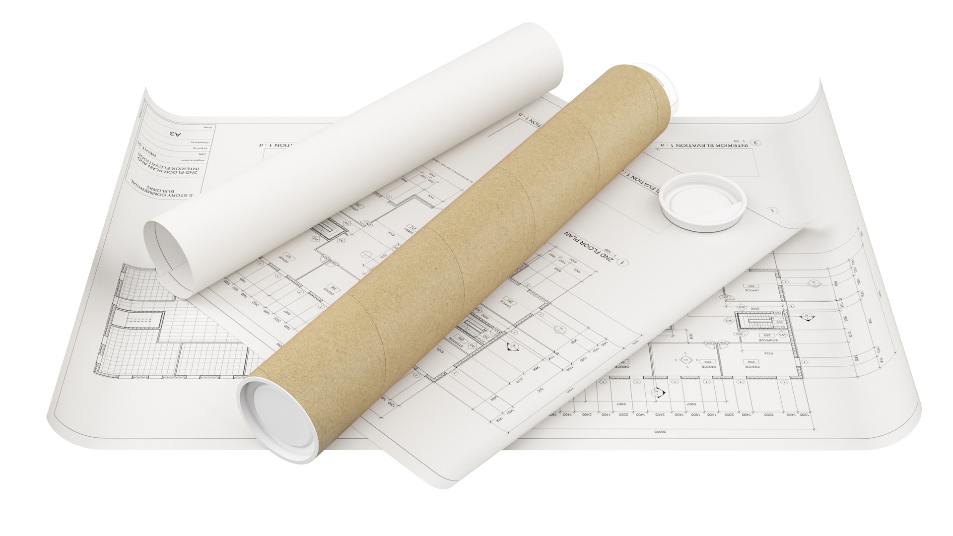 Blueprints With Cardboard Tube 3D - TurboSquid 2041429