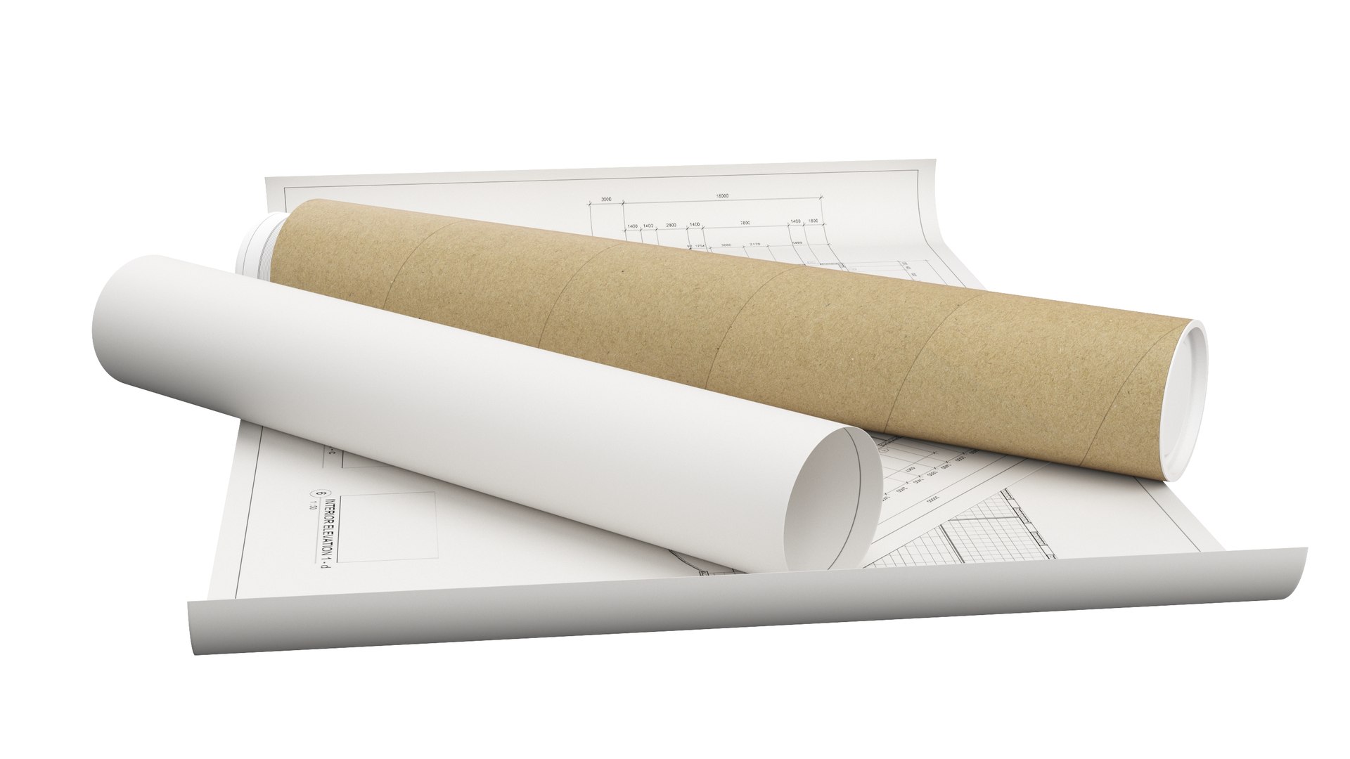 Blueprints With Cardboard Tube 3D - TurboSquid 2041429