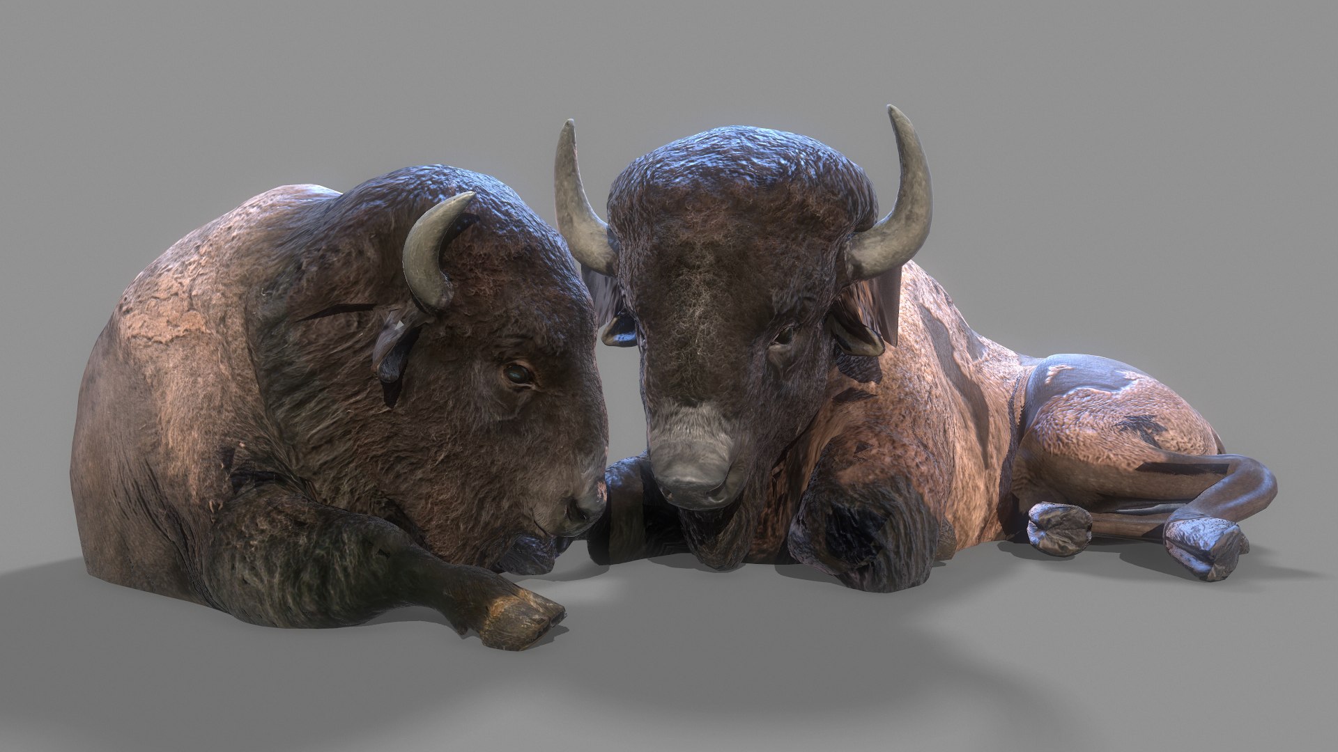 AMERICAN STEPPE BISON Low-poly 3D Model 3D Model - TurboSquid 1840713