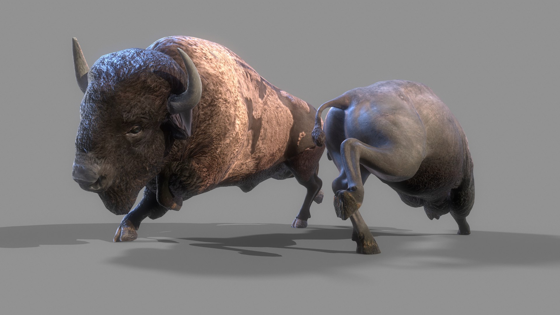 AMERICAN STEPPE BISON Low-poly 3D Model 3D Model - TurboSquid 1840713
