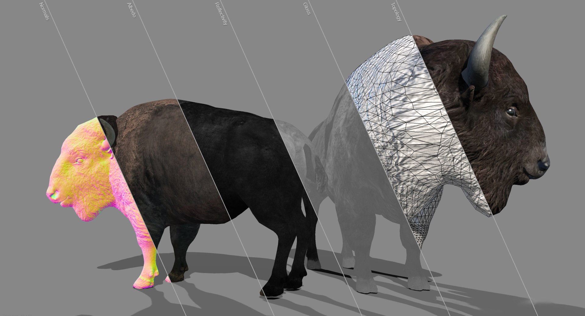 AMERICAN STEPPE BISON Low-poly 3D Model 3D Model - TurboSquid 1840713
