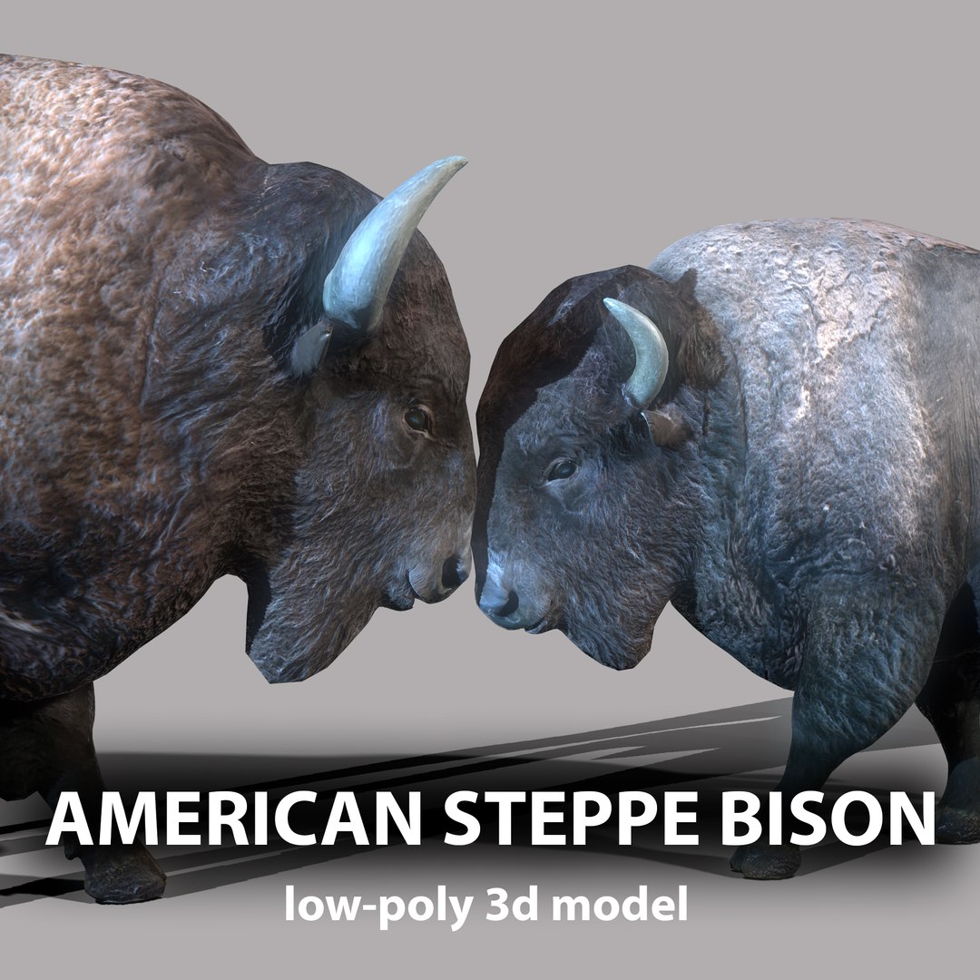 AMERICAN STEPPE BISON Low-poly 3D Model 3D Model - TurboSquid 1840713