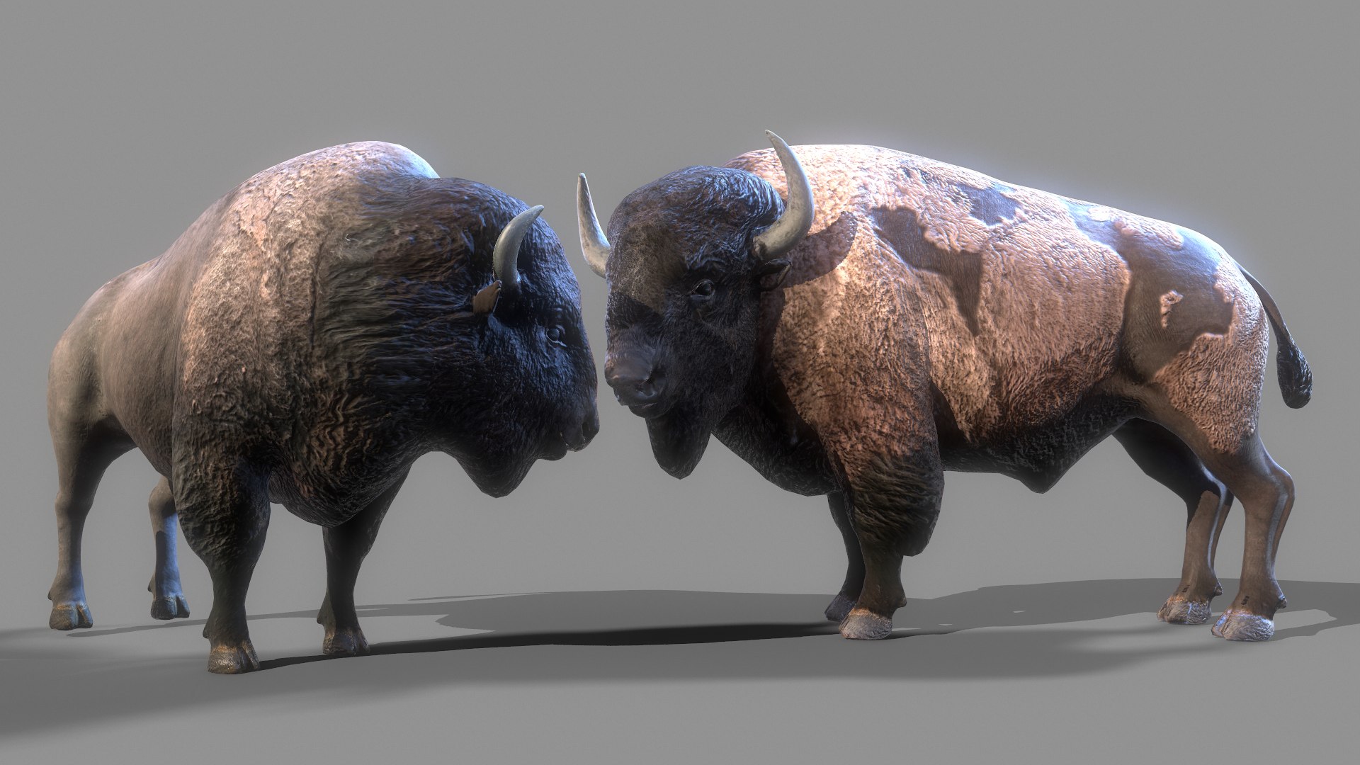 AMERICAN STEPPE BISON Low-poly 3D Model 3D Model - TurboSquid 1840713