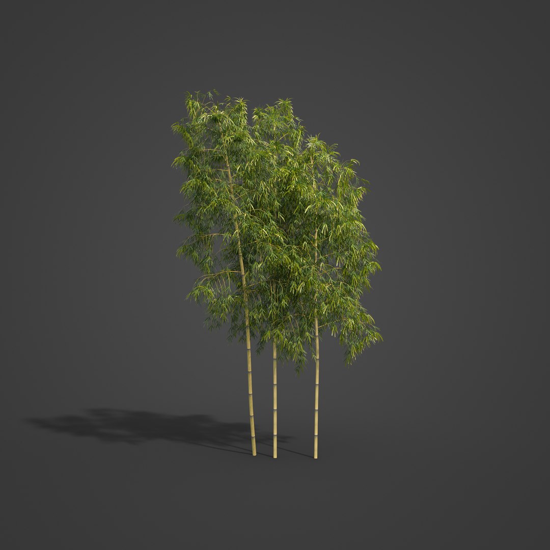 3D 2021 PBR Hachiku Bamboo Collection - Phyllostachys Nigra Henonis ...