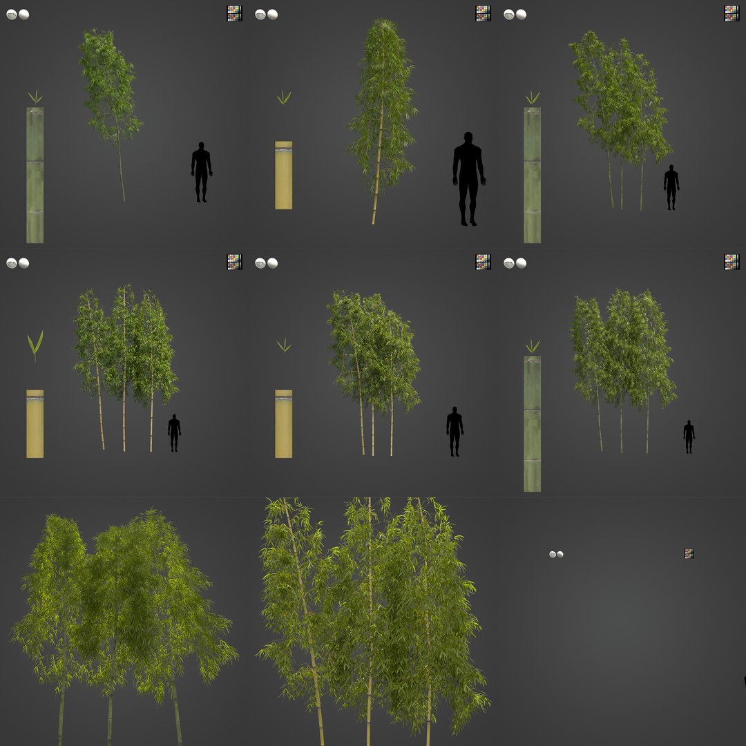 3D 2021 PBR Hachiku Bamboo Collection - Phyllostachys Nigra Henonis ...