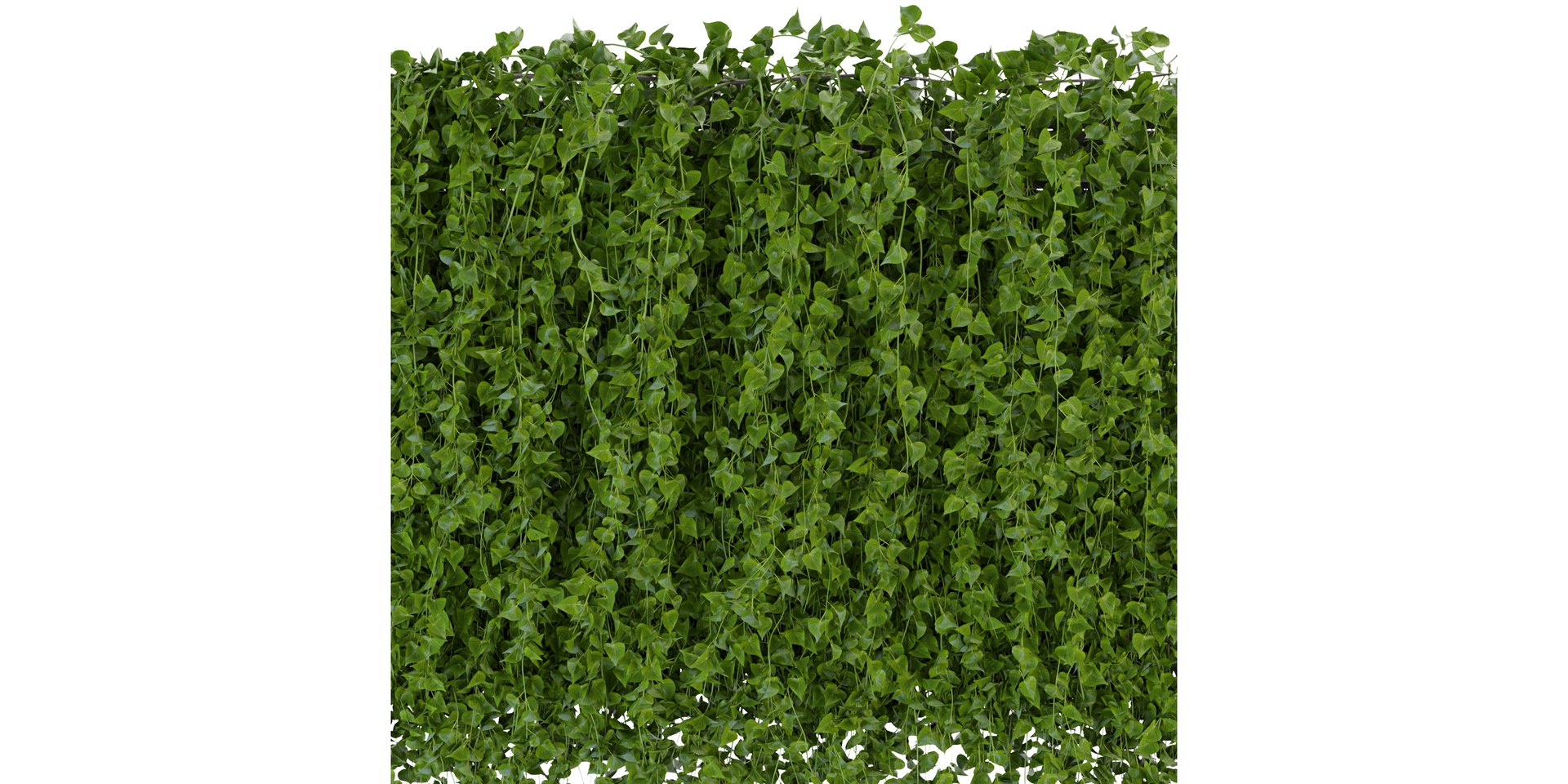 Collection Plant Vol 316 - Blender Model 3D Model - TurboSquid 2092185