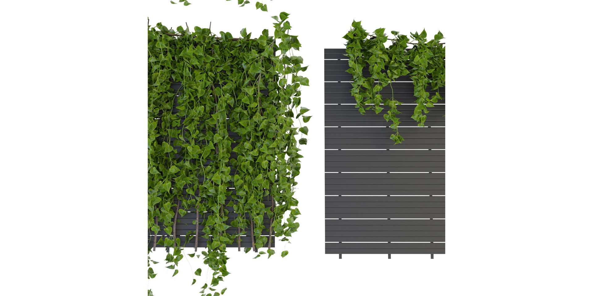 Collection Plant Vol 316 - Blender Model 3D Model - TurboSquid 2092185