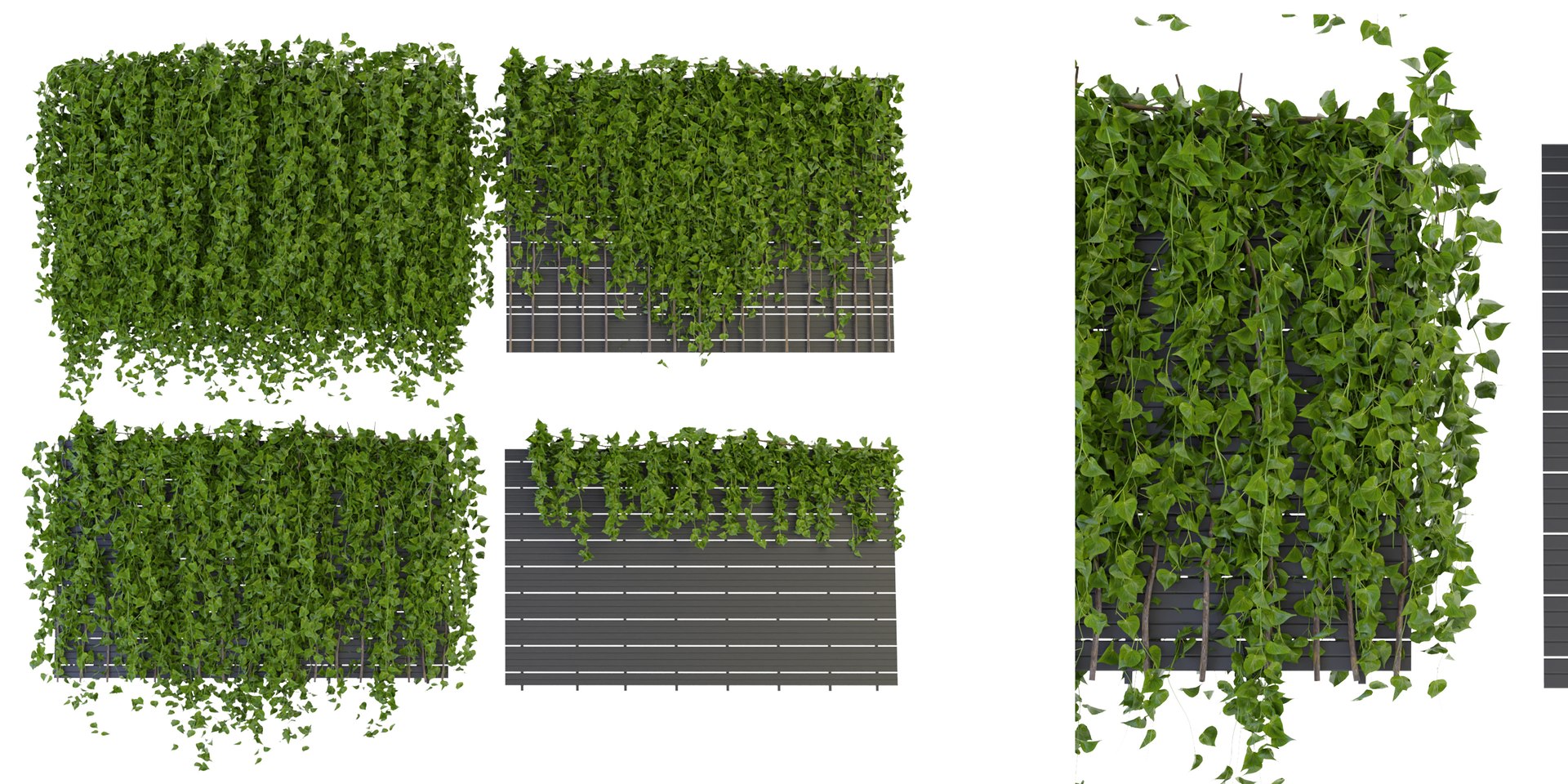 Collection Plant Vol 316 - Blender Model 3D Model - TurboSquid 2092185