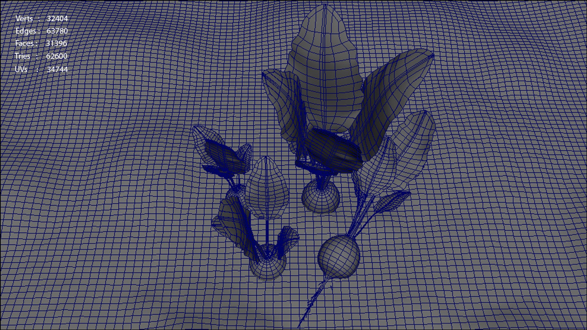 radish plant 3d model