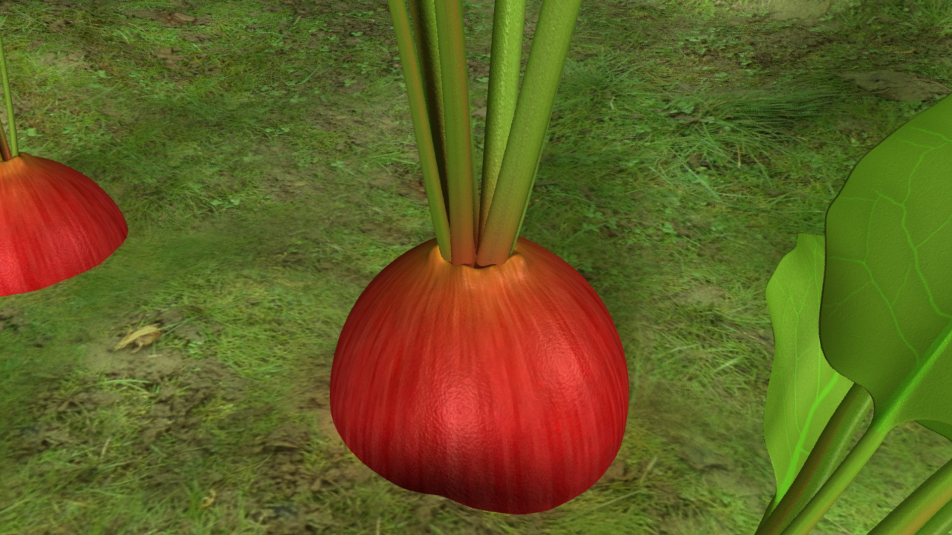 radish plant 3d model