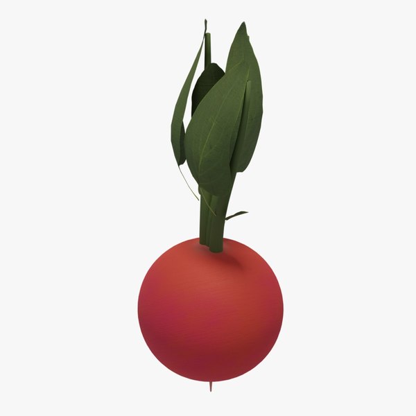 Radish 3D Models for Download | TurboSquid