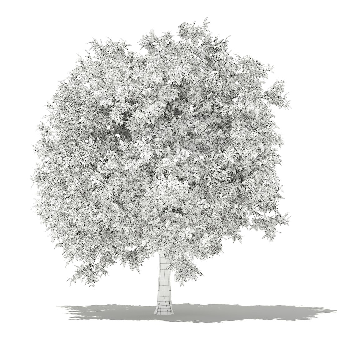 3D Avocado Tree 3 8m - TurboSquid 1305235