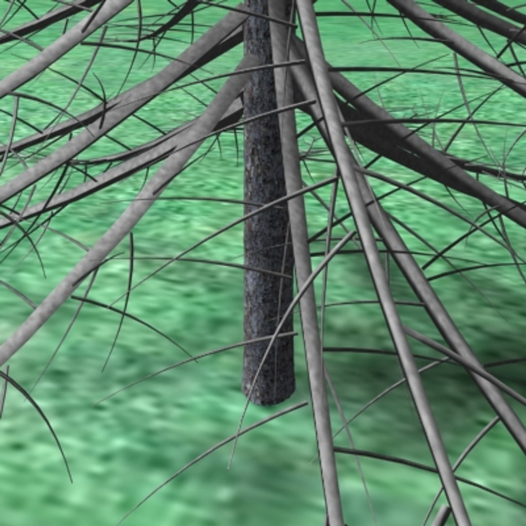 Pine Tree 3d Model