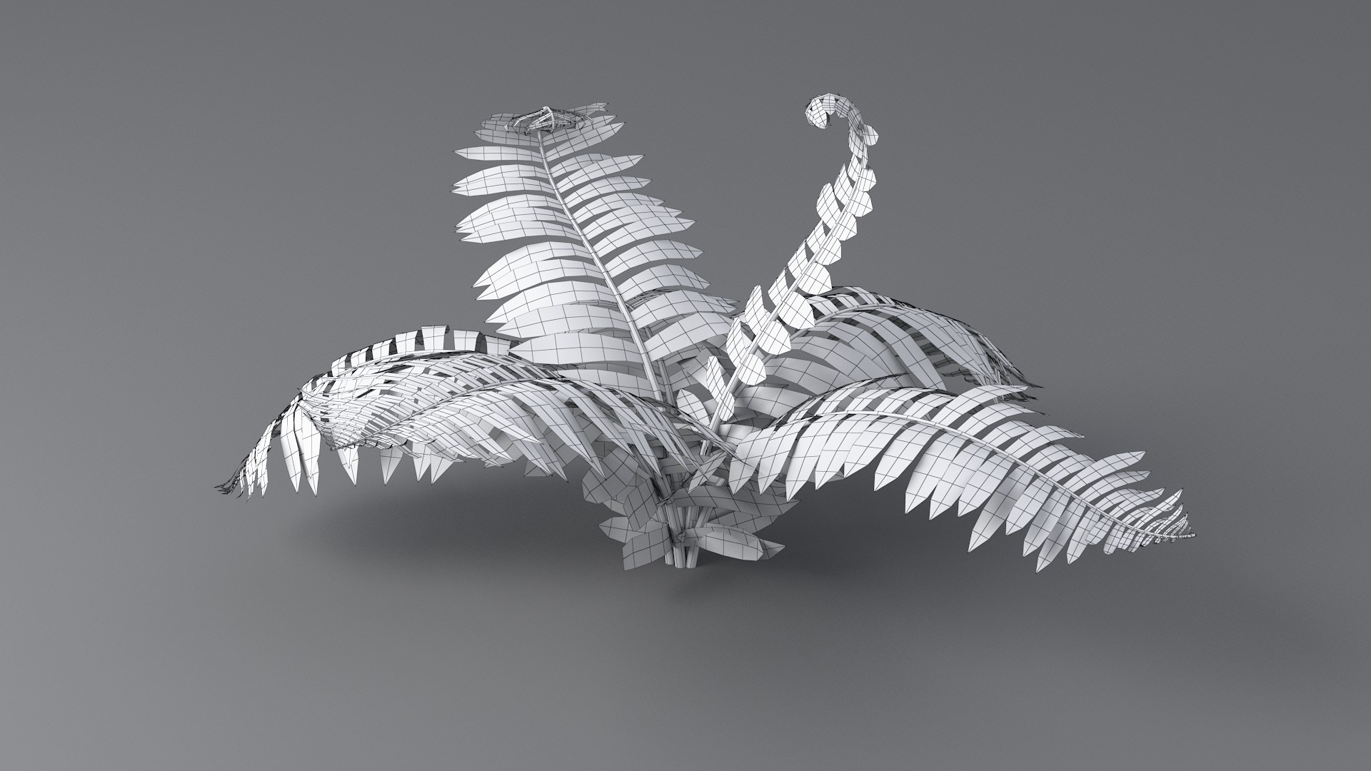 3D Cartoon Fern 01 model - TurboSquid 1938325