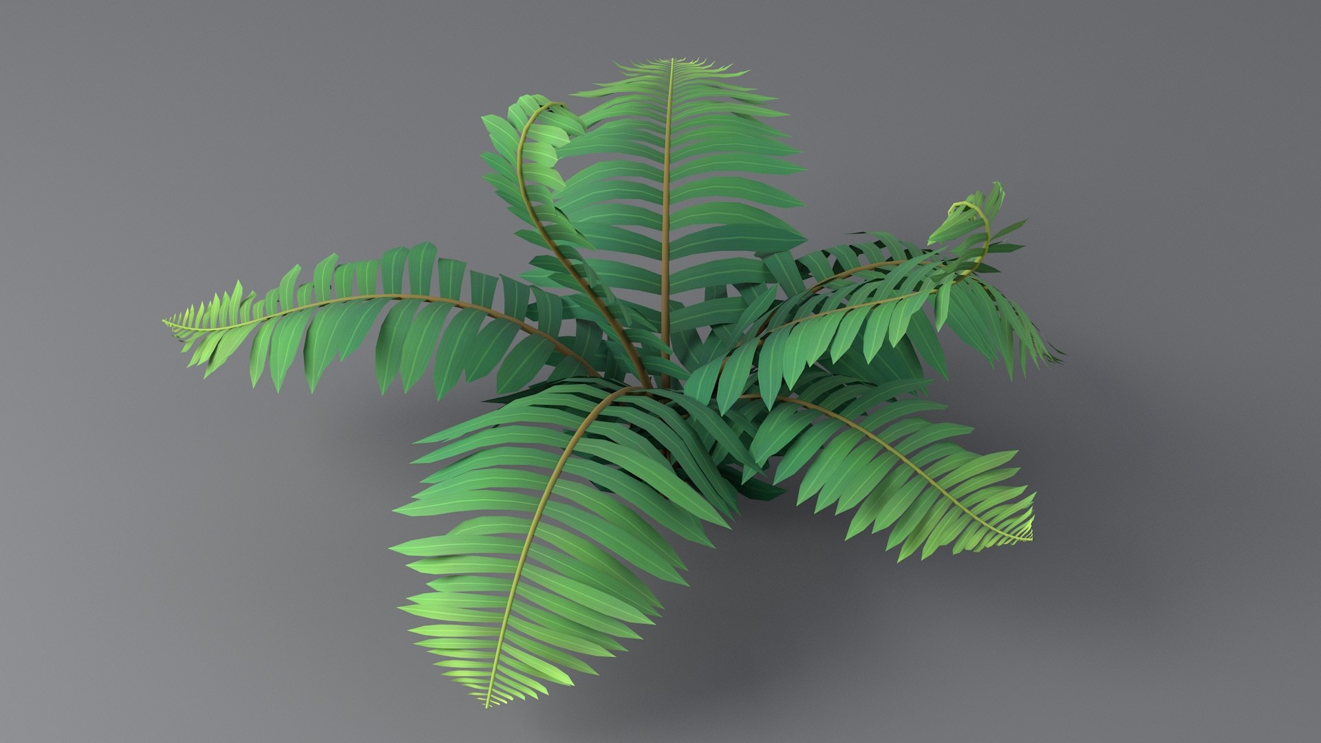 3D Cartoon Fern 01 model - TurboSquid 1938325