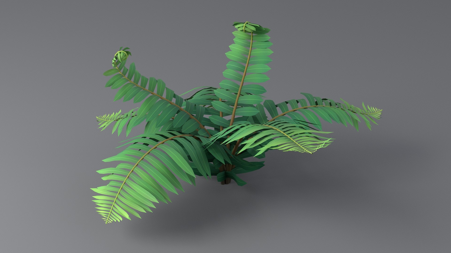 3D Cartoon Fern 01 model - TurboSquid 1938325